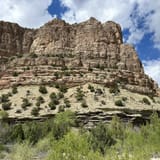 Jones Hole Trail, Utah - 276 Reviews, Map | AllTrails