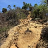 Bukit Botak Trail, Sabah, Malaysia - 290 Reviews, Map | AllTrails
