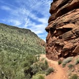 Bell Trail, Arizona - 3,341 Reviews, Map | AllTrails