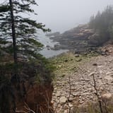 Ocean Path Trail, Maine - 3,467 Reviews, Map | AllTrails