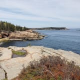 Ocean Path Trail, Maine - 3,439 Reviews, Map | AllTrails