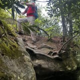 Red Byrd Arch, Kentucky - 265 Reviews, Map | AllTrails