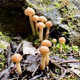 Botany Canyon, South Dakota - 549 Reviews, Map | AllTrails