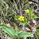 Botany Canyon, South Dakota - 549 Reviews, Map | AllTrails