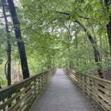 Iron Hill Loop, Georgia - 4,983 Reviews, Map | AllTrails