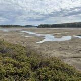 Spirit Pond Preserve, Maine - 130 Reviews, Map | AllTrails