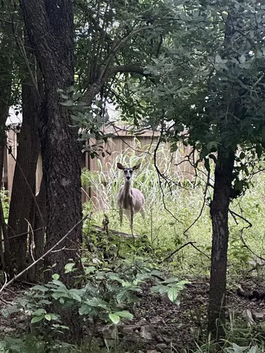 Best Road Biking Trails in Shavano Park | AllTrails