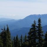 Klahhane Ridge Trail to Lake Angeles, Washington - 277 Reviews, Map ...