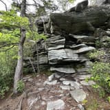 Babel Tower Trail (240), North Carolina - 1,035 Reviews, Map | AllTrails