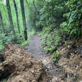 Pinnacle Mountain Fire Tower Trail, Tennessee - 1,028 Reviews, Map ...