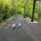 Deep Run Park Trails, Virginia - 1,306 Reviews, Map | AllTrails