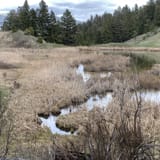 Beaver Ponds Loop Trail, Montana - 1,167 Reviews, Map | AllTrails
