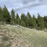 Beaver Ponds Loop Trail, Montana - 1,167 Reviews, Map | AllTrails