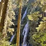 Boulder River Trail, Washington - 1,854 Reviews, Map | AllTrails