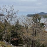Bar Island Trail, Maine - 2,800 Reviews, Map | AllTrails