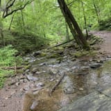 Mount Tammany via Red Dot and Blue Dot Loop Trail, New Jersey - 13,268 ...