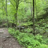 Mount Tammany via Red Dot and Blue Dot Loop Trail, New Jersey - 13,268 ...