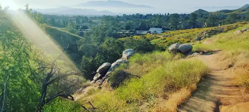 Best Forest Trails in Riverside | AllTrails