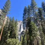 Lower Yosemite Falls Trail, California - 11,595 Reviews, Map | AllTrails