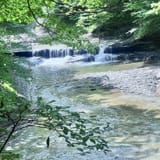 Wintergreen Gorge Trail, Pennsylvania - 586 Reviews, Map | AllTrails