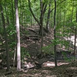 Plateau Trail, Ohio - 3,434 Reviews, Map | AllTrails