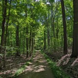 Plateau Trail, Ohio - 3,434 Reviews, Map | AllTrails