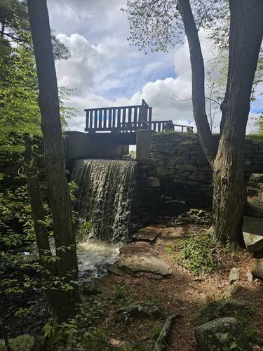 Best Camping Trails in Douglas | AllTrails