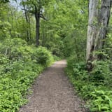Reeds Lake Trail, Michigan - 1,002 Reviews, Map | AllTrails