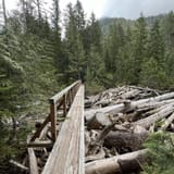 Greider Lakes Trail, Washington - 640 Reviews, Map | AllTrails