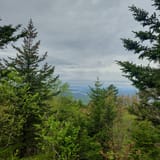 Copple Crown Mountain, New Hampshire - 574 Reviews, Map | AllTrails