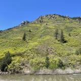 Waterton Canyon Trail, Colorado - 3,217 Reviews, Map | AllTrails