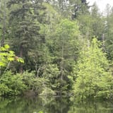 Whatcom Creek Trail Loop, Washington - 1,867 Reviews, Map | AllTrails