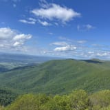 Hawksbill Loop Trail, Virginia - 4,485 Reviews, Map | AllTrails