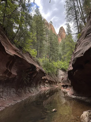 Best River Trails in Munds Park | AllTrails