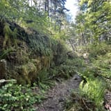 Thetis Lake Extended Loop, British Columbia, Canada - 250 Reviews, Map ...