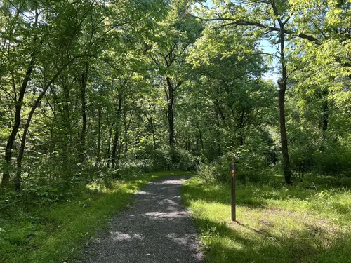 Best Walking Trails in Catharpin | AllTrails