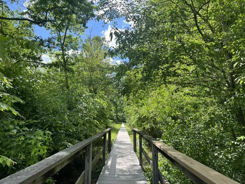 Best Walking Trails in Catharpin | AllTrails