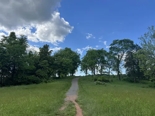 Best Walking Trails in Catharpin | AllTrails