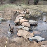 Davis Ponds Trail, Colorado - 1,333 Reviews, Map | AllTrails