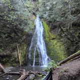 Madison Falls Trail, Washington - 1,632 Reviews, Map | AllTrails