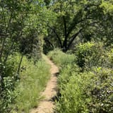 Oak Glen Preserve Trails, California - 792 Reviews, Map | AllTrails