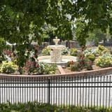 Oak Glen Preserve Trails, California - 792 Reviews, Map | AllTrails