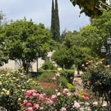 Oak Glen Preserve Trails, California - 792 Reviews, Map | AllTrails