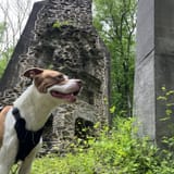 Bonner Park Loop, Pennsylvania - 305 Reviews, Map | AllTrails