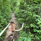 Bonner Park Loop, Pennsylvania - 305 Reviews, Map | AllTrails