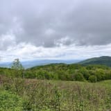Max Patch Loop, North Carolina - 2,171 Reviews, Map | AllTrails