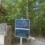 Moss Rock Preserve Trail, Alabama - 1,177 Reviews, Map | AllTrails