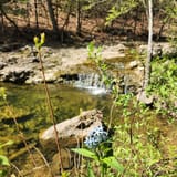 Roark Creek Waterfall Trail, Missouri - 1,025 Reviews, Map | AllTrails