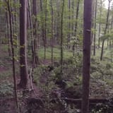 Webb Bridge Park Trail, Georgia - 768 Reviews, Map | AllTrails