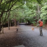 Webb Bridge Park Trail, Georgia - 768 Reviews, Map | AllTrails